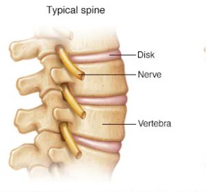 Pars Fracture (Spondylolysis) – Meet Dr. Joel Edionwe